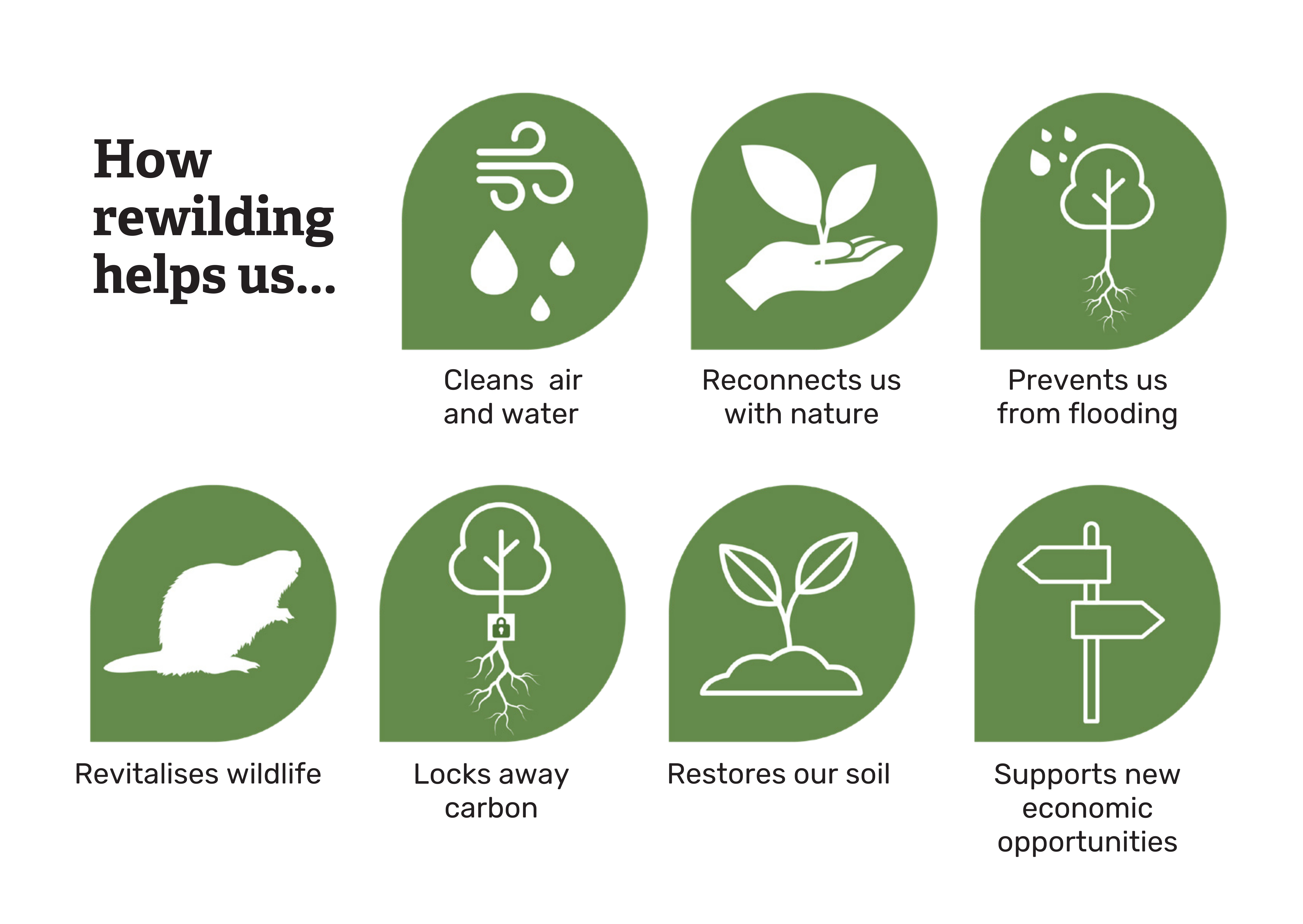 Hampshire & Isle of Wight Rewilding Network | Hampshire and Isle of ...