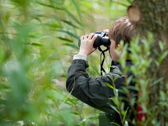 Wildlife Watch | Hampshire and Isle of Wight Wildlife Trust