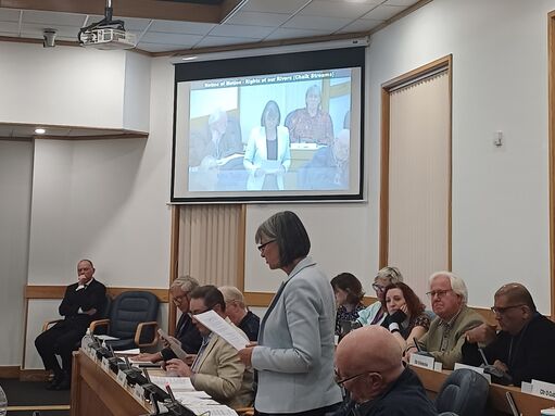 Hampshire rivers given legal rights in landmark Council decision ...