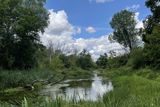 Watercress and Winterbournes | Hampshire and Isle of Wight Wildlife Trust