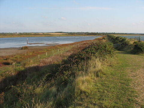 Lymington and Keyhaven Marshes Nature Reserve | Hampshire and Isle of ...
