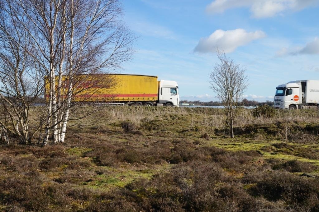 30 Days Wild with Clive | Hampshire and Isle of Wight Wildlife Trust