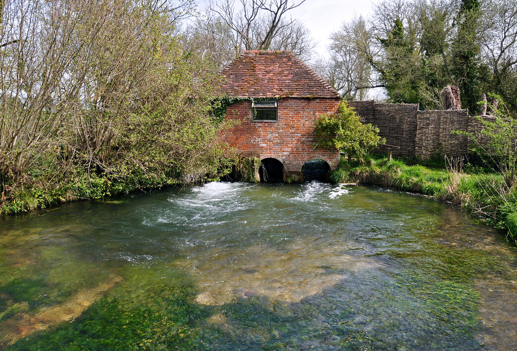 Enhancing Alresford Eel House | Hampshire and Isle of Wight Wildlife Trust