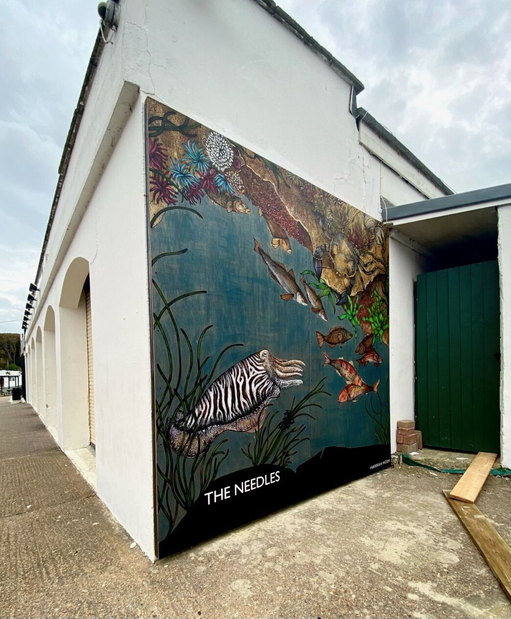 Mapping the Solent | Hampshire and Isle of Wight Wildlife Trust