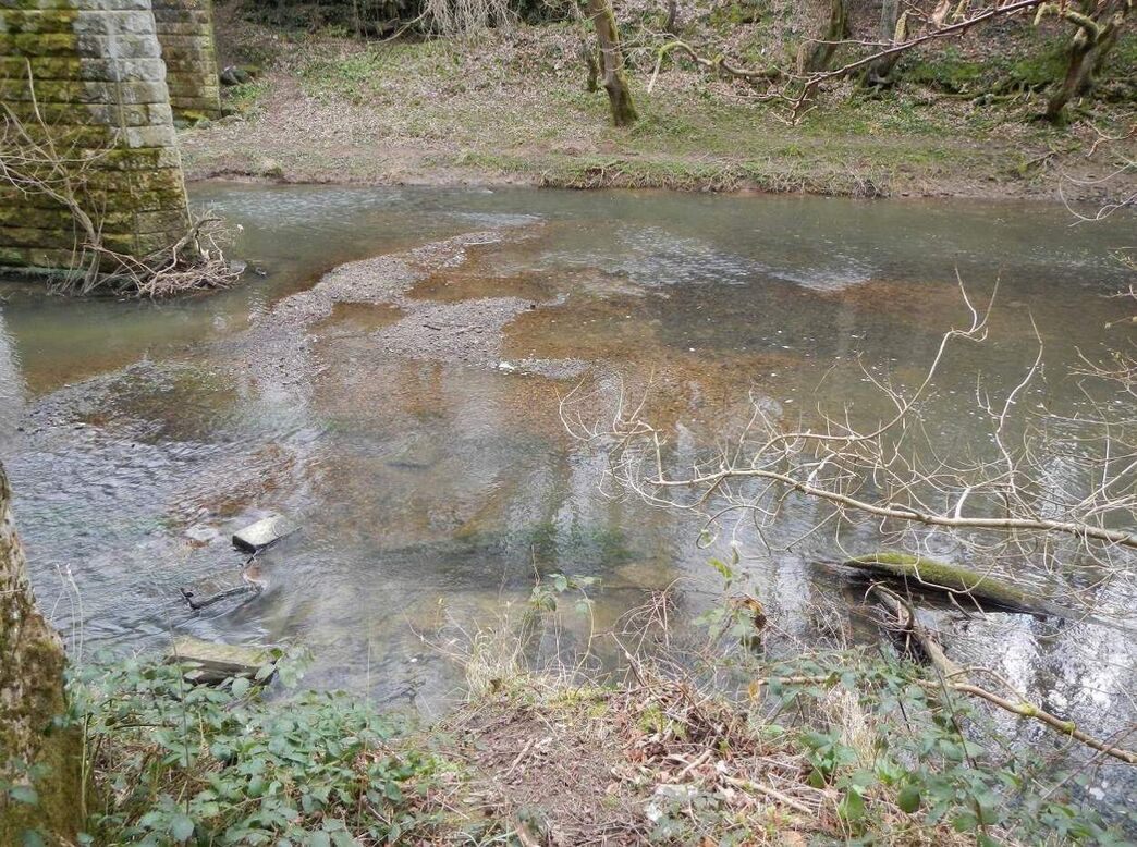 Redd Alert: Spotting Spawning Salmonids | Hampshire and Isle of Wight ...