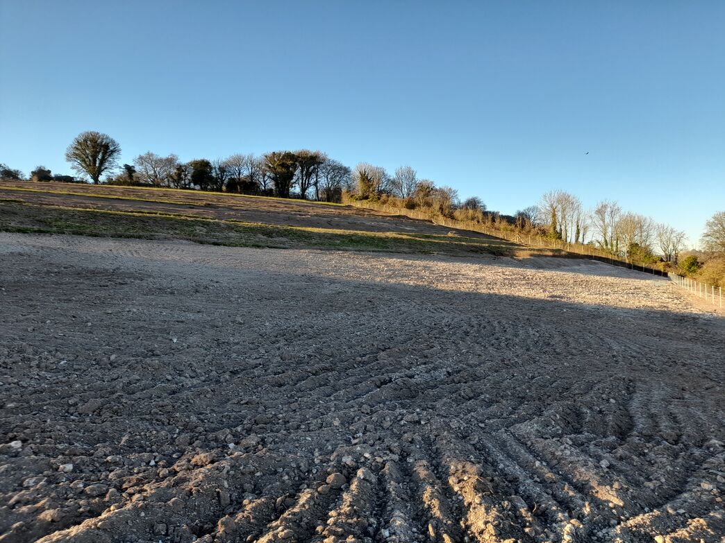Chalk grassland restoration project update | Hampshire and Isle of ...