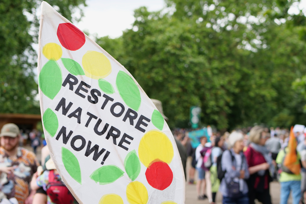 Hampshire & Isle of Wight Wildlife Trust rallies for nature in UK’s ...