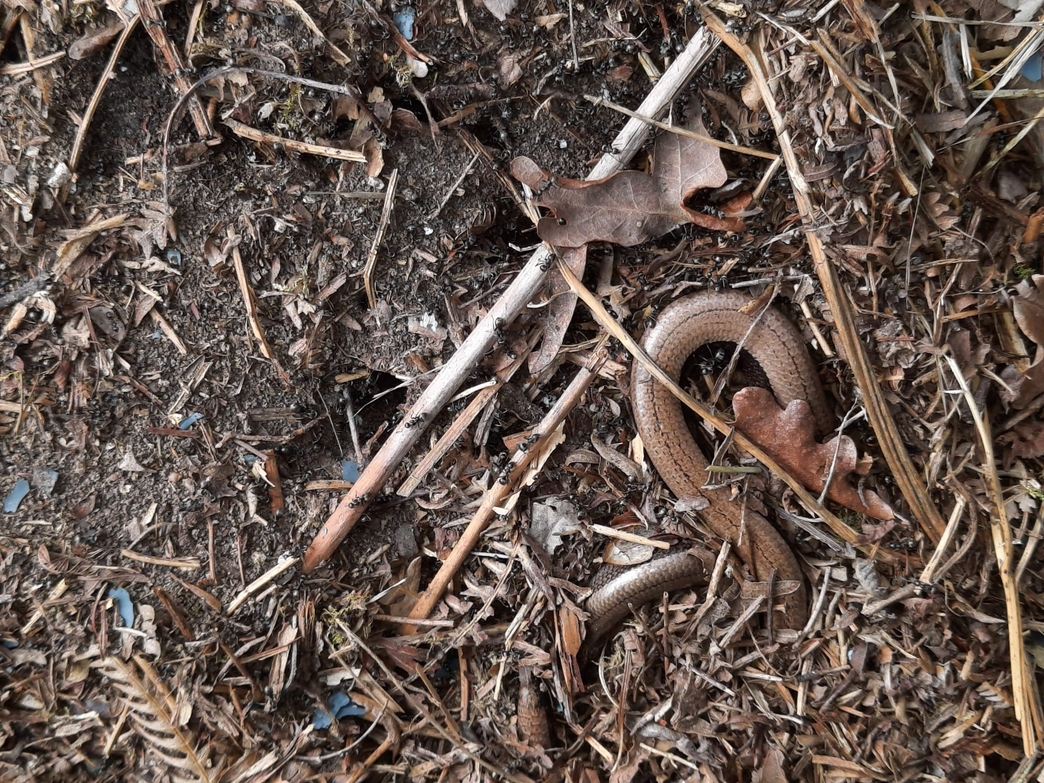 New Wilder Group Launches in Hook | Hampshire and Isle of Wight ...