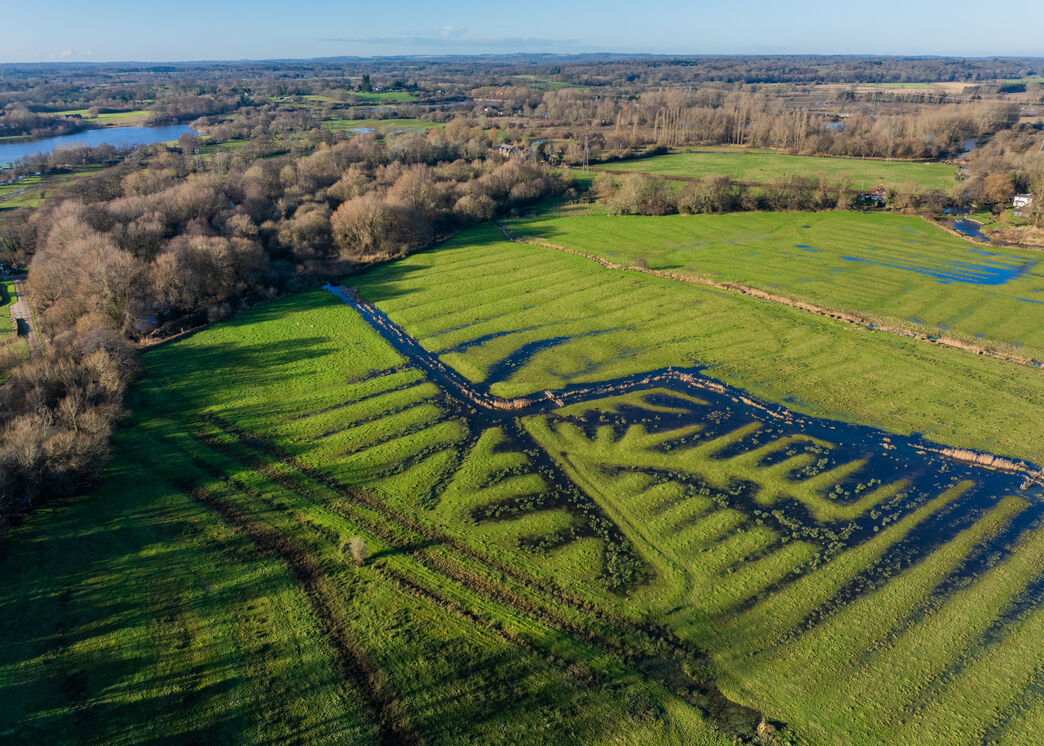Floodplain restoration partnership brings vital wildlife habitat to ...