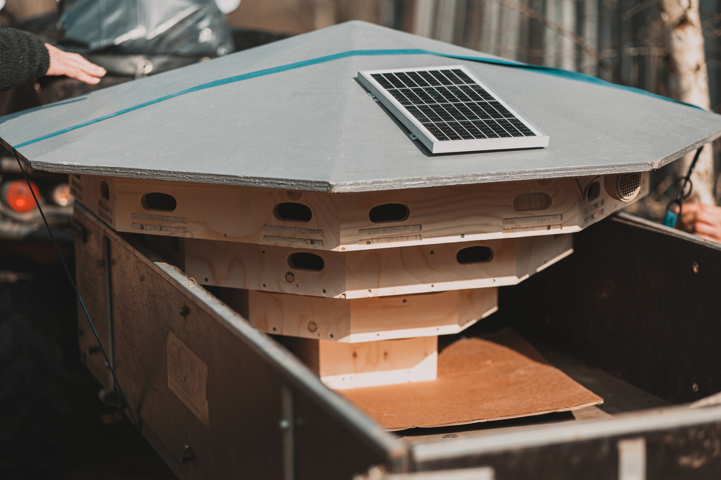 New nesting tower gives swifts and house martins a lifeline | Hampshire ...