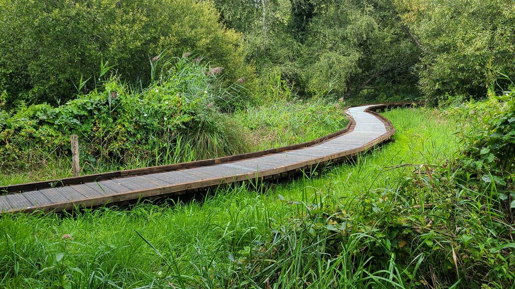 Winnall Moors Nature Reserve – in the heart of Winchester – is now re ...
