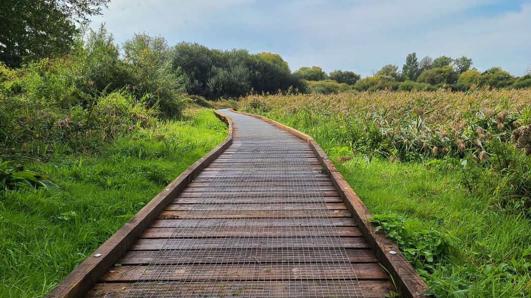 Winnall Moors Nature Reserve – in the heart of Winchester – is now re ...