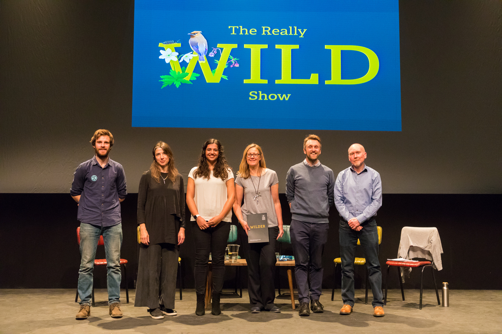 A Really Wild success | Hampshire and Isle of Wight Wildlife Trust