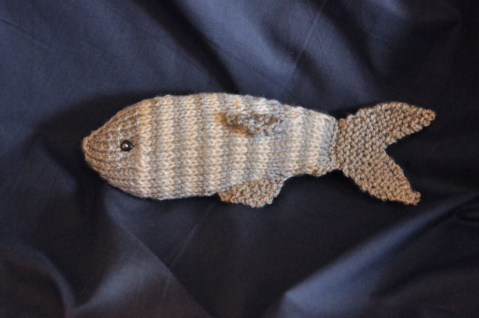 Weave-A-Fish | Hampshire and Isle of Wight Wildlife Trust