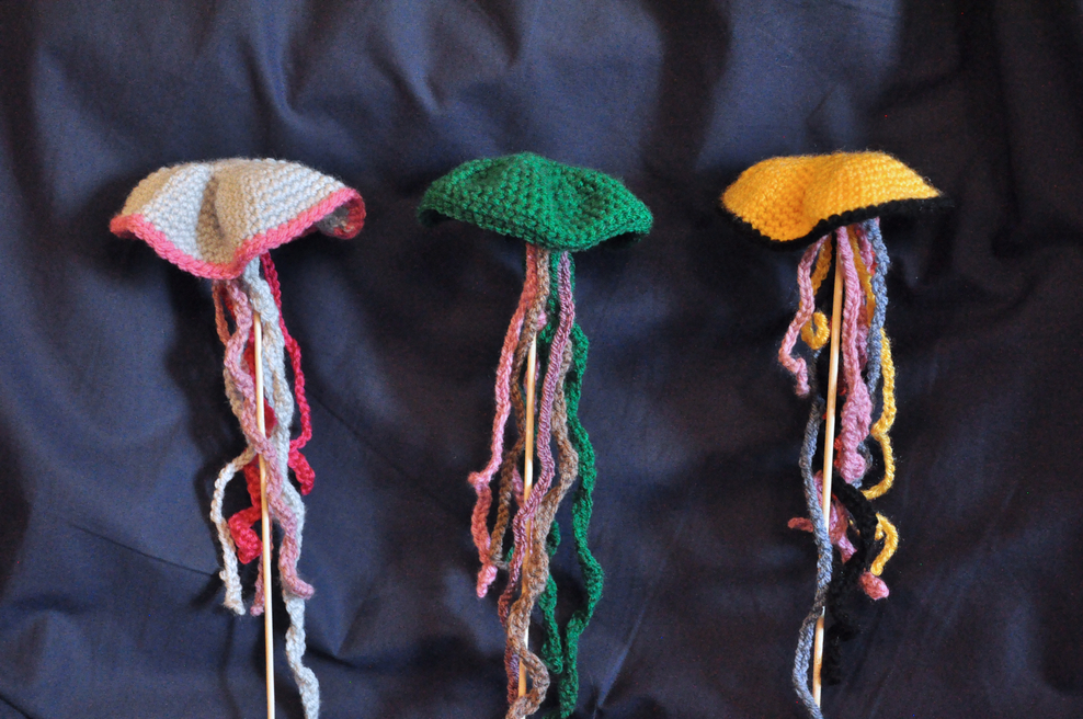 Weave-A-Fish | Hampshire and Isle of Wight Wildlife Trust