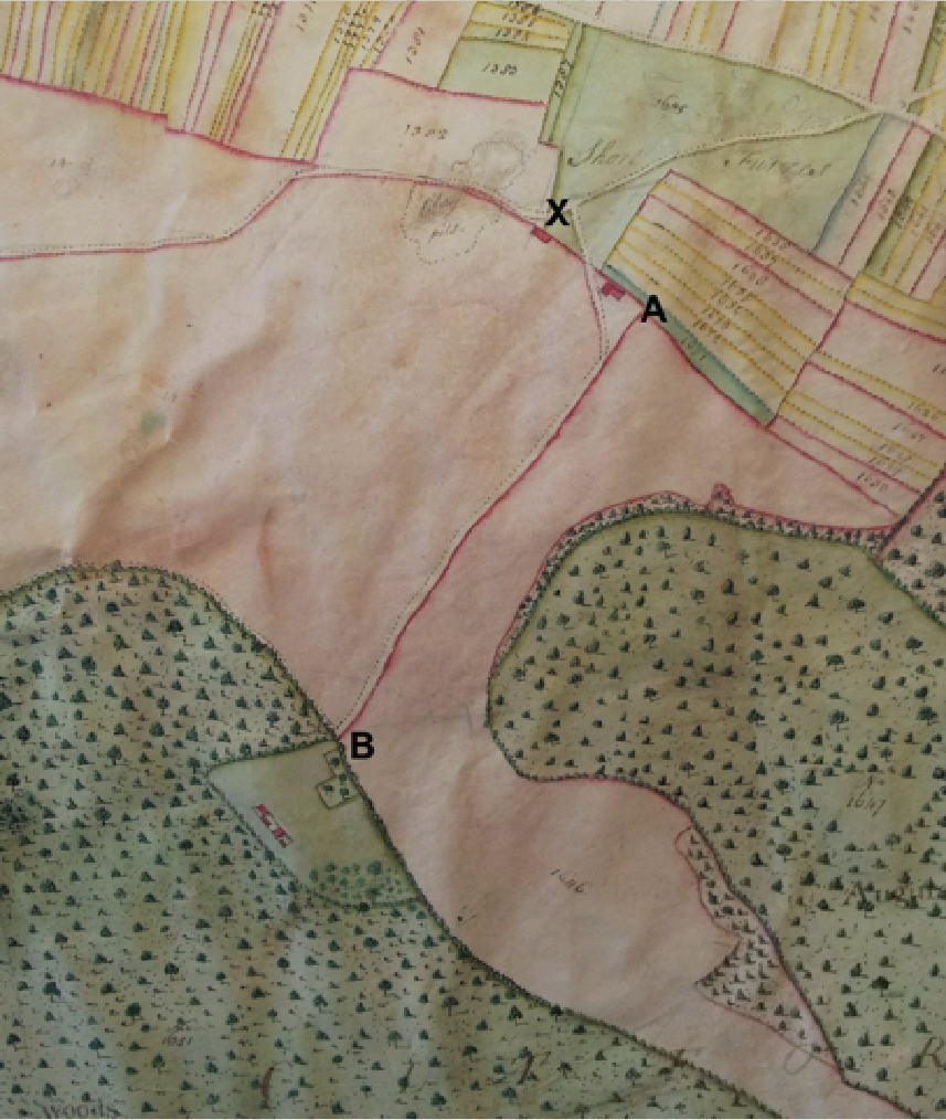 This Land of Ours | Hampshire and Isle of Wight Wildlife Trust