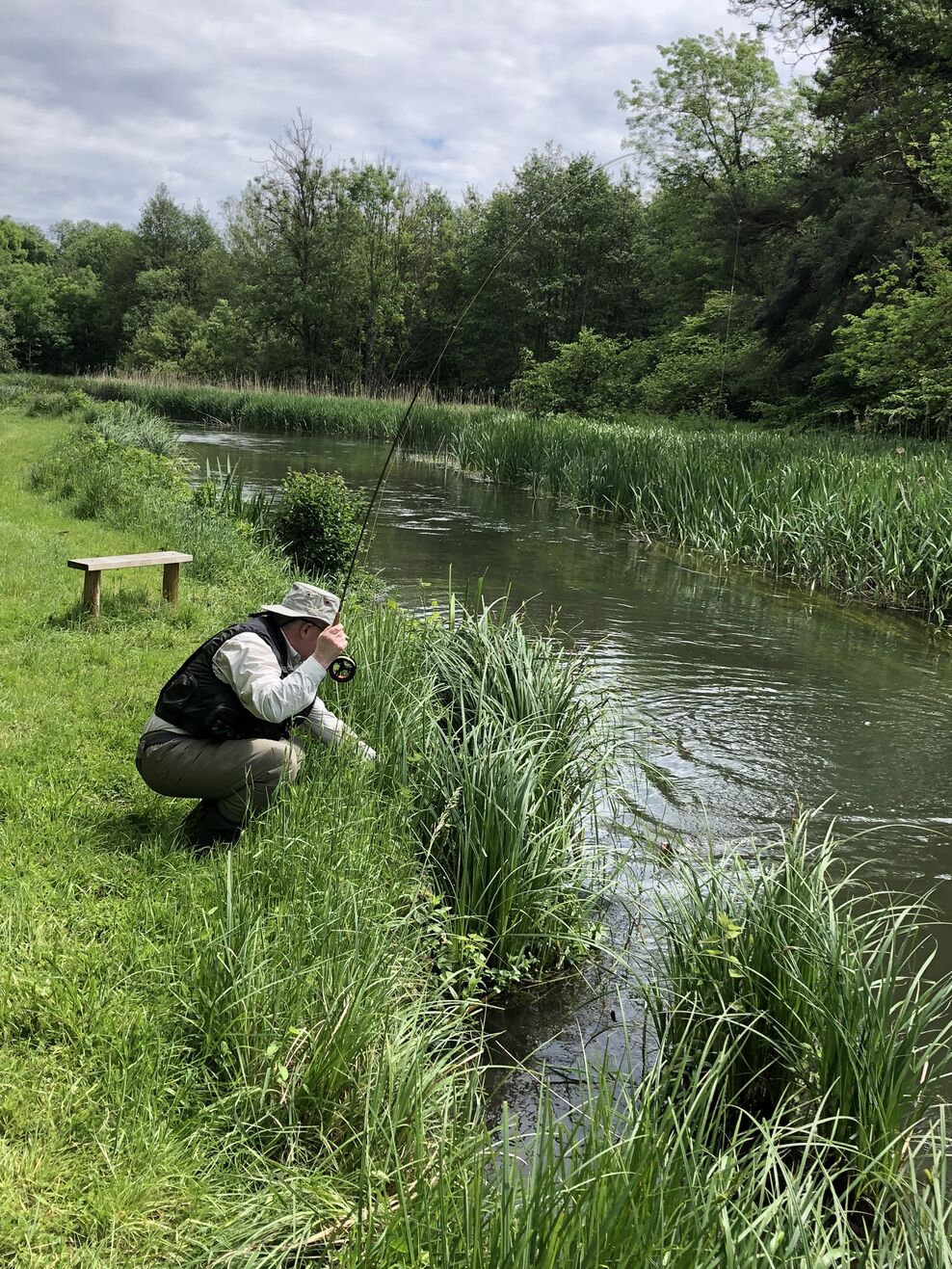 Tales from the Riverbank: Martin's New Mission | Hampshire and Isle of ...