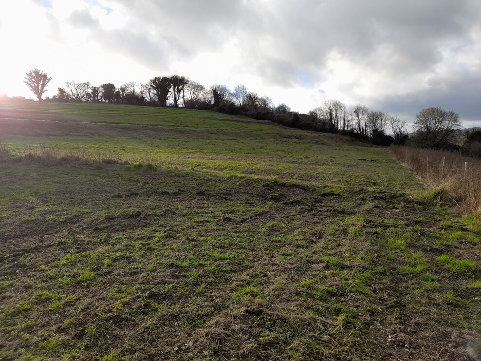 Chalk grassland restoration project update | Hampshire and Isle of ...