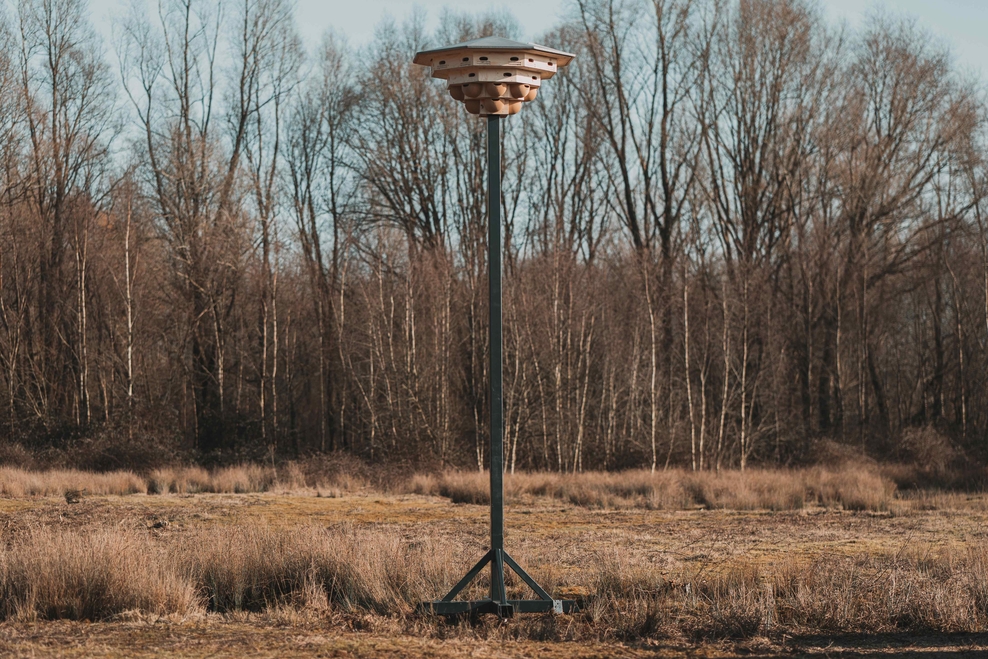 New nesting tower gives swifts and house martins a lifeline | Hampshire ...