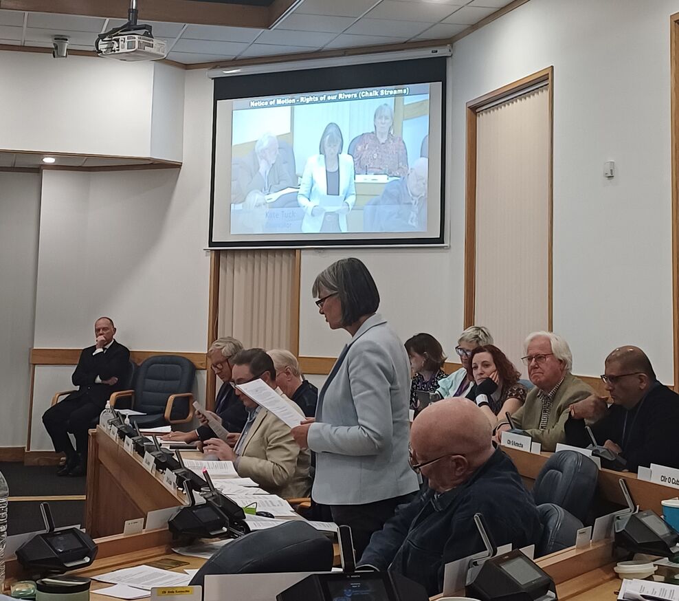 Hampshire rivers given legal rights in landmark Council decision ...