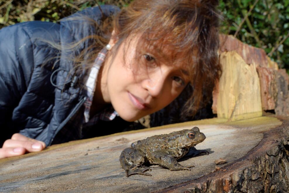 Hampshire and Isle of Wight Wildlife Trust launches biggest-ever ...