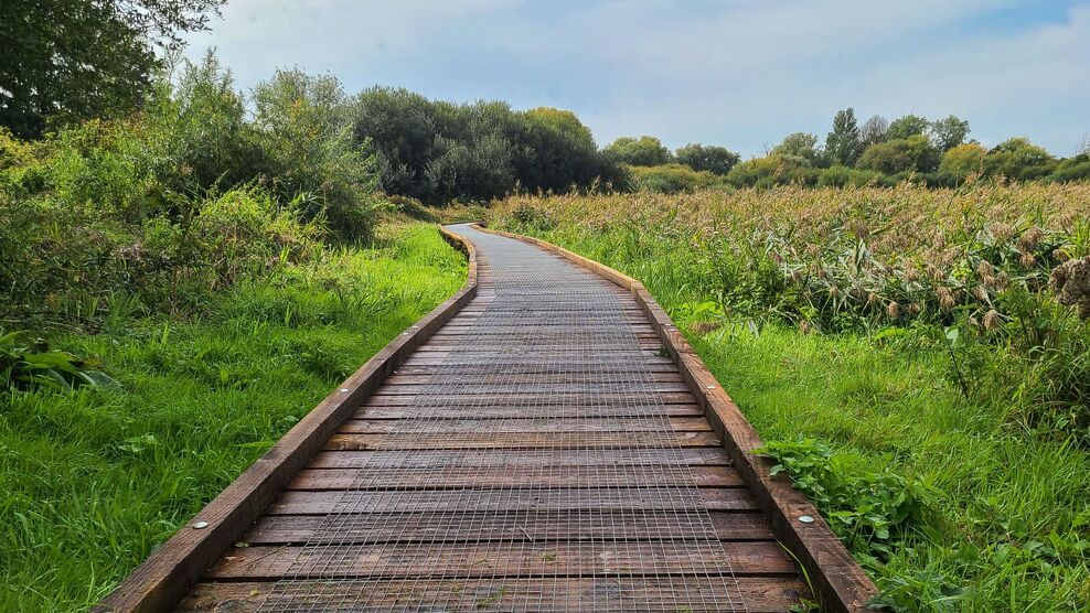 Winnall Moors Nature Reserve – in the heart of Winchester – is now re ...