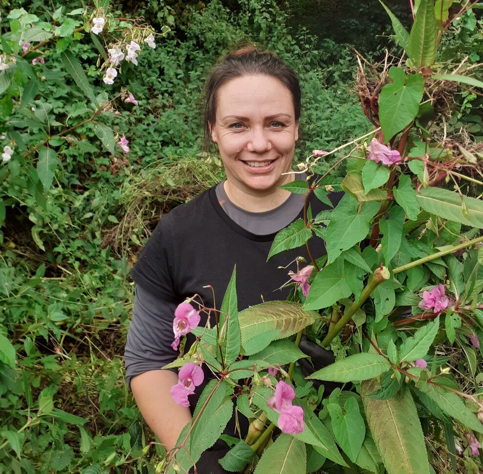 New Forest gains vital guardian against invasive non-native plants ...