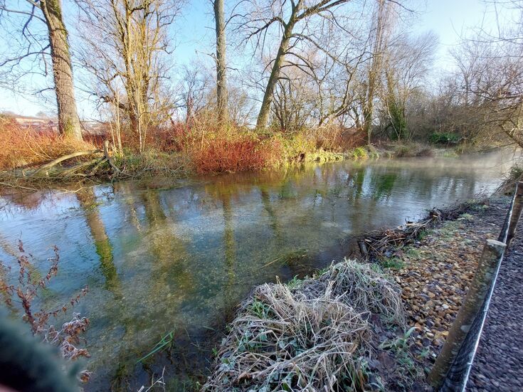Redd Alert: Spotting Spawning Salmonids | Hampshire and Isle of Wight ...