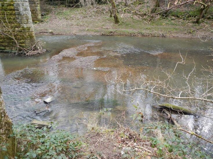Redd Alert: Spotting Spawning Salmonids | Hampshire and Isle of Wight ...