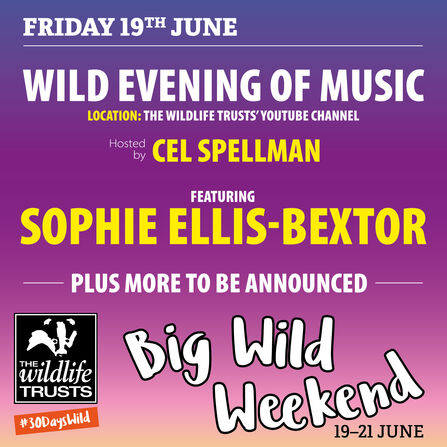 Big Wild Weekend | Hampshire and Isle of Wight Wildlife Trust