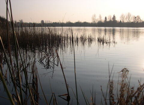 Blashford Lakes education centre | Hampshire and Isle of Wight Wildlife ...
